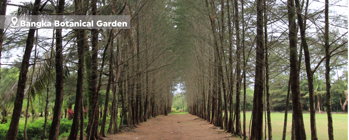 Package | Golden Rama Tours and Travel