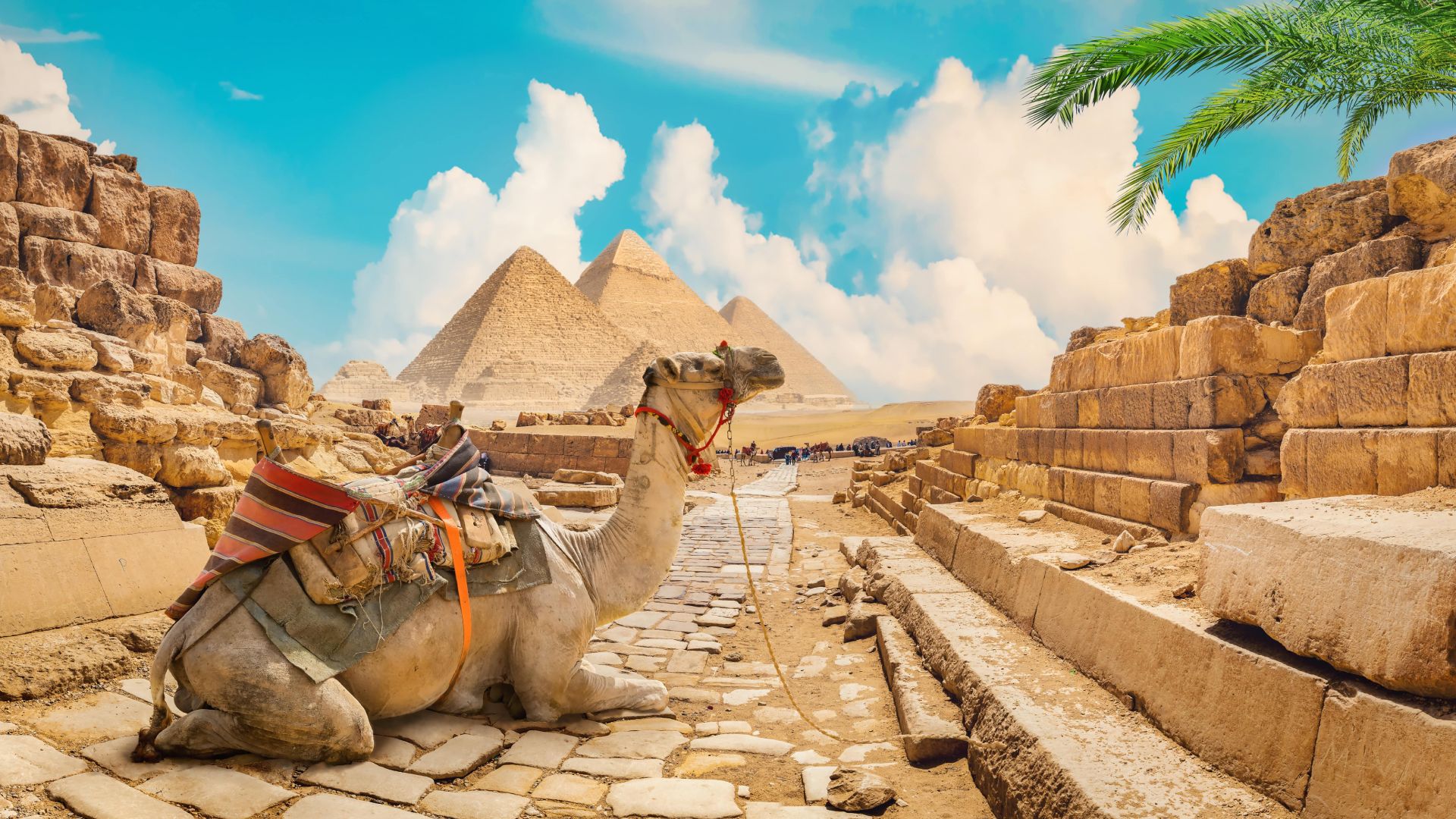 Paket Tour Egypt | Golden Rama Tours and Travel