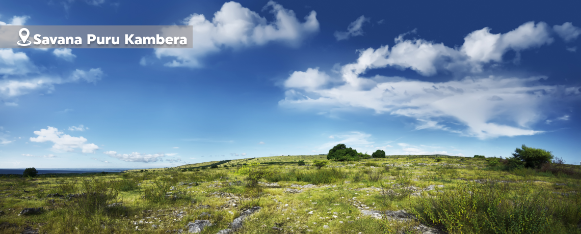 Package | Golden Rama Tours and Travel